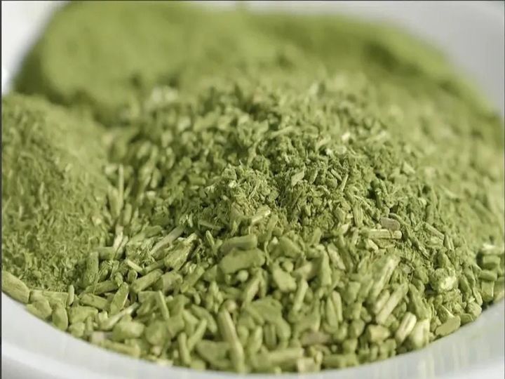 Erva-mate é oficializada como patrimônio cultural imaterial do RS – O ...